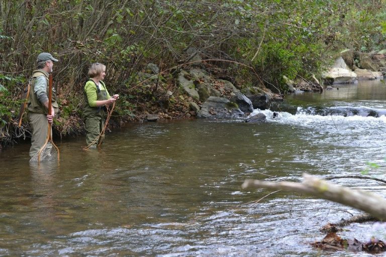 - Headwaters On The Soque